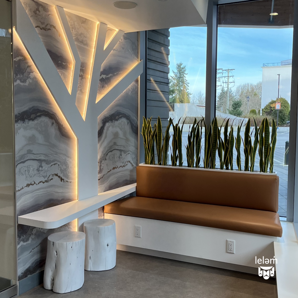 Say Hello to the Dentist at Lelem Village | leləm̓